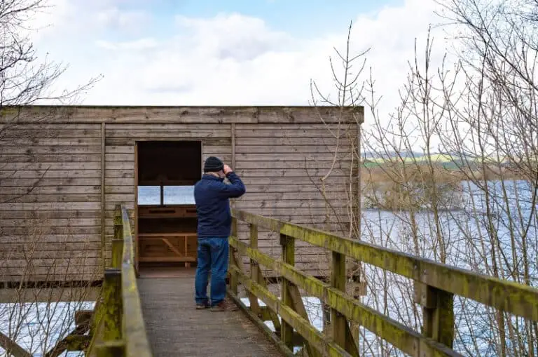 What Is A Bird Watching Area Called Birding Spots Revealed